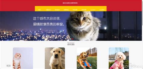 Jsp爱宝贝宠物交流管理系统740jp Csdn博客