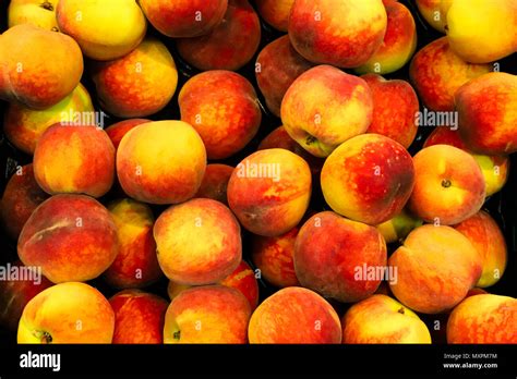 Yellow Nectarines