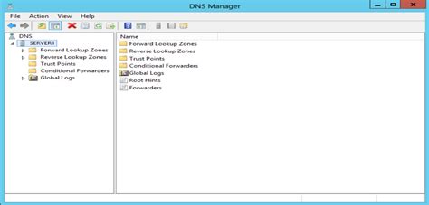 Learn About Windows Server 2012 R2 Dns In Brief