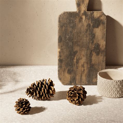 Pine Cones Model Poliigon