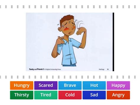 FF2 U 2 Pictures Find The Match