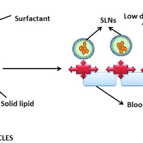 Schematic Illustration Of Composition Of Sln And Its Interaction With Download Scientific