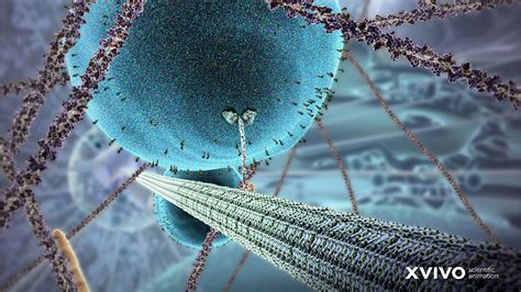 Free Science Background Photos [300 ] Science Background For Free