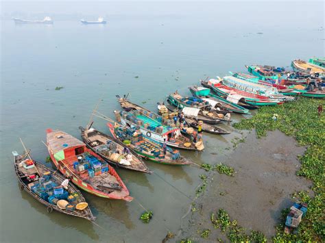 Fish Bangladesh Photos Download The Best Free Fish Bangladesh Stock