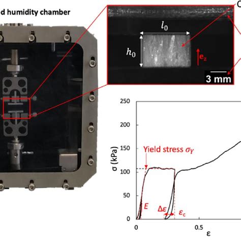 Compression Experimental Setup Installed In The Controlled Humidity Download Scientific Diagram