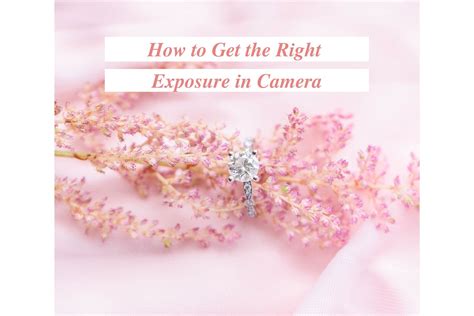 How To Get The Right Exposure In Camera Alina Thomas