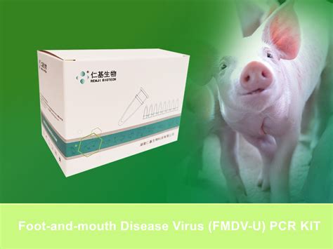 Foot And Mouth Disease Virus Universal Fmdv U Detection Kit Rt Pcr