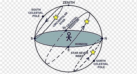 Celestial Sphere Celestial Equator Astronomy Ecliptic Sky Day To Night Angle Leaf Sphere Png