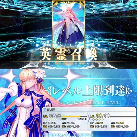 Who Is Your Next Servant Target In Na R Fgo