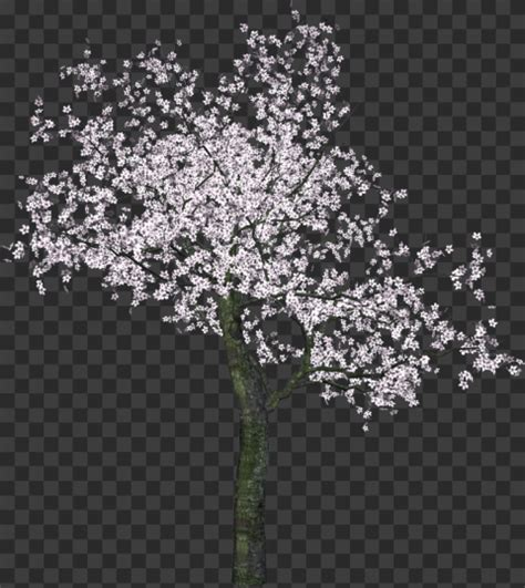 Tree Png Art Pxpng