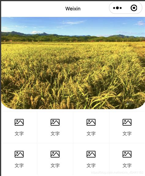 wxss 图片底部圆角 image标签 wxss图片下面20 变圆 csdn博客