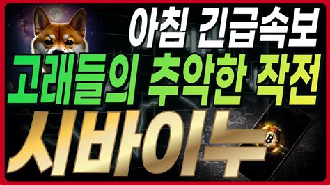 시바이누 고래들의 추악한 작전 아침긴급속보 리플도지코인비트코인 Youtube