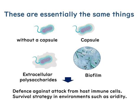 Understanding Cronobacter Sakazakii Risks Prevention And Safe