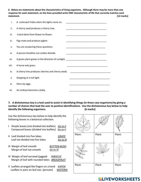 Classification … Free Interactive Worksheets 2166840