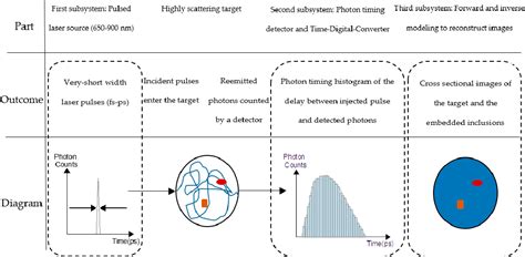 Figure 1 From Time Resolved Diffuse Optical Spectroscopy And Imaging