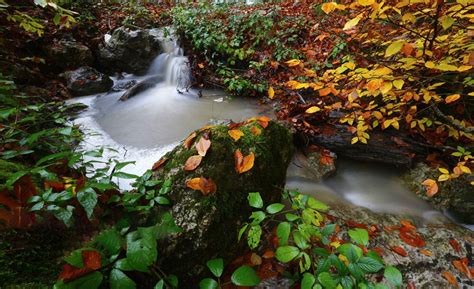 سی دشت گیلان ️ مجله سفربازی