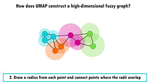 Easy Umap Explained With An Example