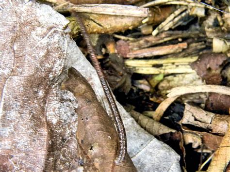 301 Moved Permanently