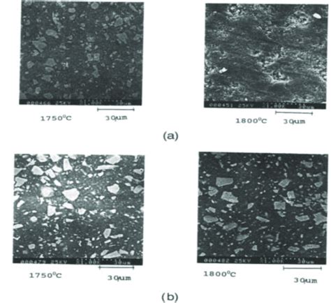 Sem Photograph Of Microstructure 24 Download Scientific Diagram