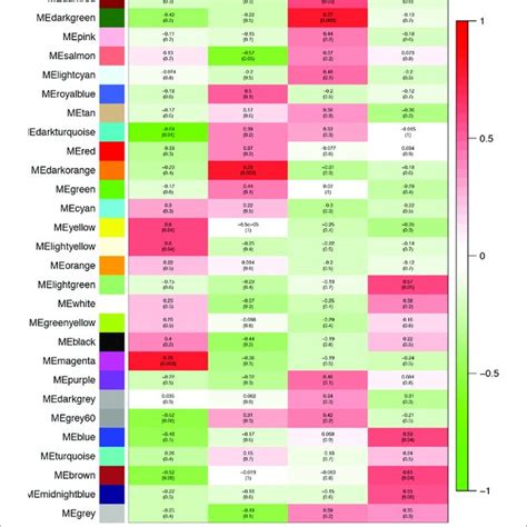 Module Time Correlation Correlation Between Gene Modules And Sample