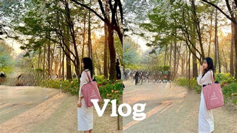 Vlog 휴학생 브이로그 서울숲 피크닉🧺 벚꽃🌸 회기 수플레 맛집🥞 정선부뚜막 매일책읽기📚 행거셀프조립 딘타이펑🥟 안암 맛집 Youtube