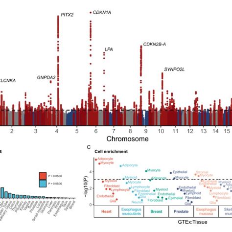 A Manhattan Plot For Common Variant Association In Multi Population