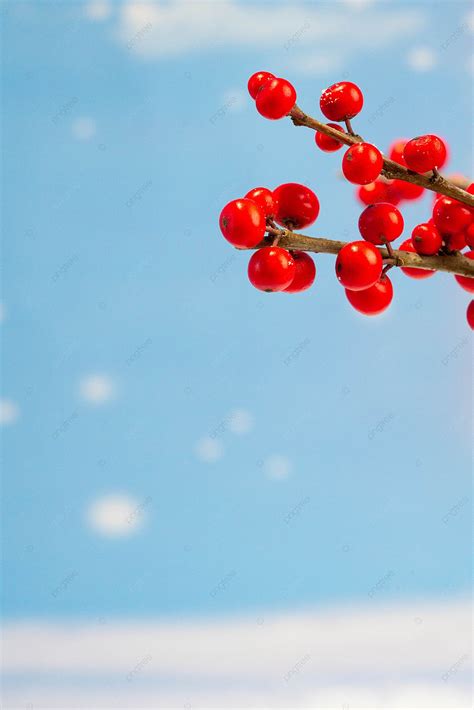 Cold Winter Winter Theme Photography Background Winter Theme Snowing Cold Winter Theme