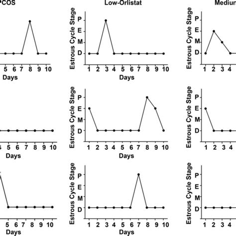 Effects Of Orlistat Treatment On The Estrous Cycle Three Rats Were