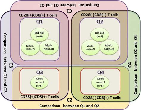Schematic Strategy Of Pooling Circrna Microarray Profiles Eight