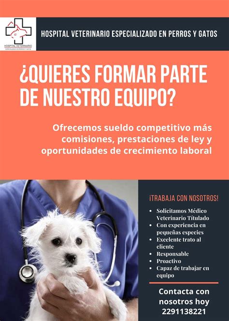 Hospital Veterinario Especializado En Perros Y Gatos ‼️ Vacante ‼️