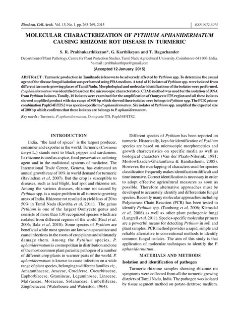 Pdf Molecular Characterization Of Pythium Aphanidermatum Causing Rhizome Rot Disease In Turmeric