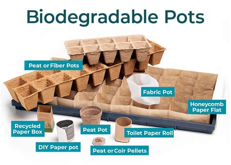 Ocean Made Biodegradable Gardening Pots Market Research