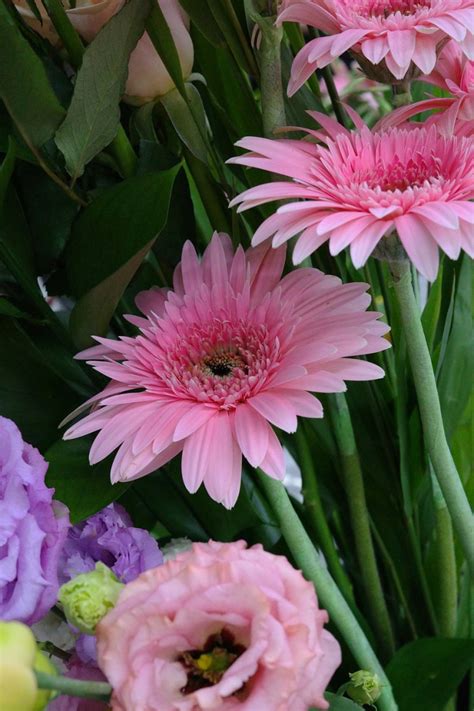 화훼장식기능사 실기 감점 포인트 및 팁 정리 네이버 블로그