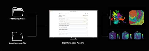 Unlock Spatial Transcriptomic Mapping With Curio Seeker