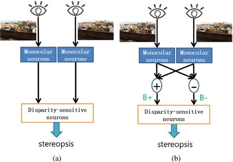 Figure 1 From Predicting Stereoscopic Image Quality Via Stacked Auto Encoders Based On