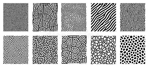 Mathematical Complex Shapes Stock Illustrations 2 143 Mathematical