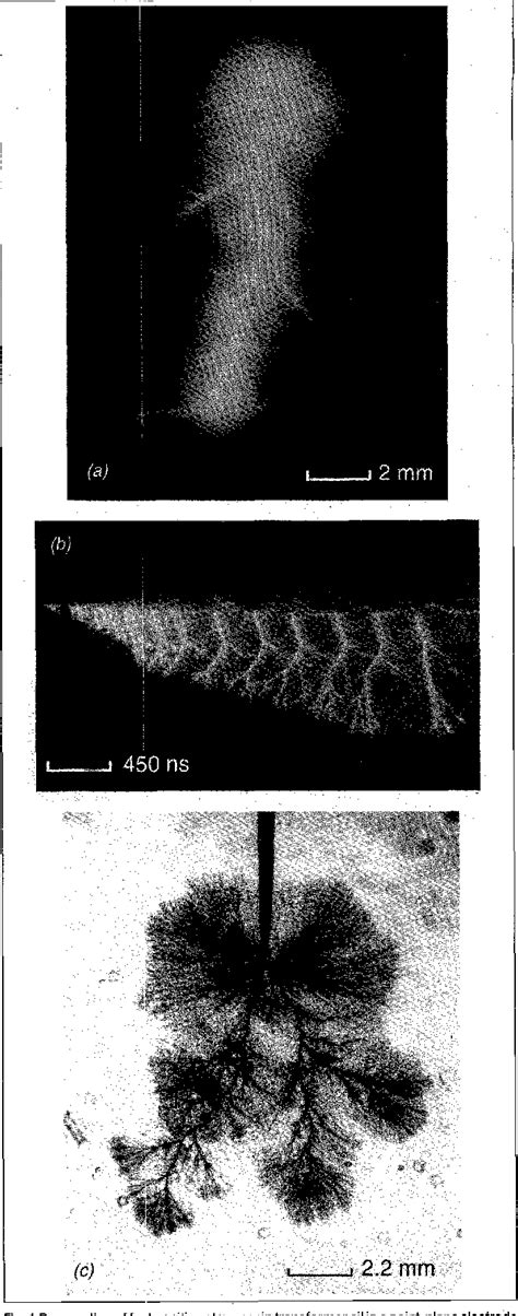 Mandibular Right Second Molar Distal Hemisection Semantic Scholar