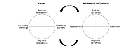 The Reciprocal And Ongoing Dynamic Relationship Between Parental Behavior Download Scientific