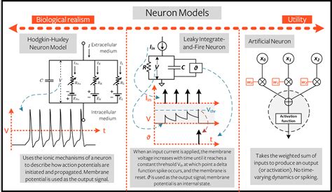 Snn入门总结 知乎