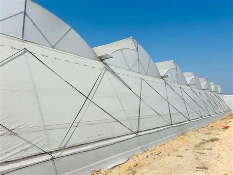 Polyethene Plastic Panel Build Agriculture Polyhouse Structure At ₹ 790