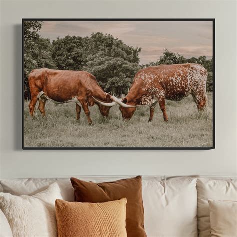 Texas Longhorn Cattle Wall Art Teri James Photography