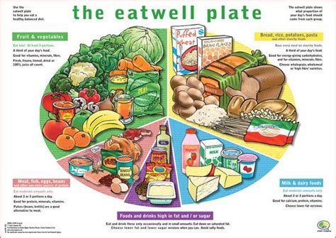 Healthy Eating Plate The Eatwell Plate Makes Visualising Your