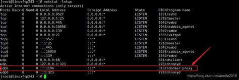 04、docker端口映射的原理及配置方法docker 把宿主机的所有ip端口映射到容器内的ip Csdn博客 04、docker端口映射的原理及配置方法docker 把宿主机的所有ip端口映射到容器内的ip Csdn博客