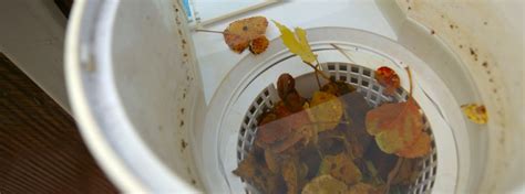 What Pool Filter Is The Best Melbourne Fibreglass Pools