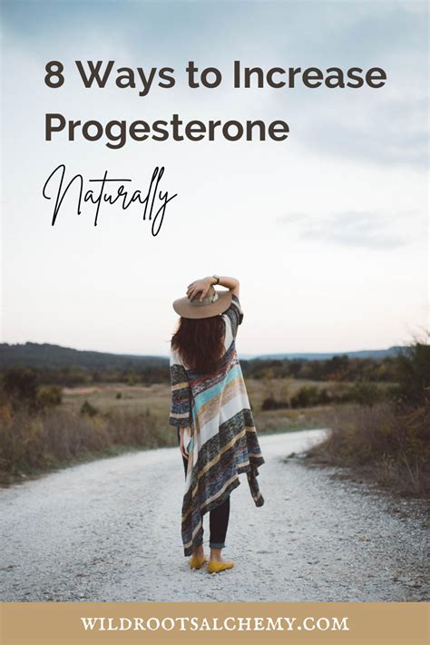 Ways To Increase Progesterone Naturally Wild Roots Alchemy