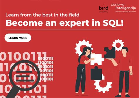 Poslovna Inteligencija On Linkedin Sql Databases Fundamentals For Data