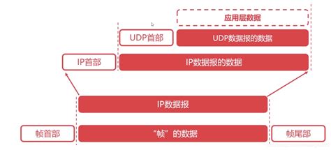 计算机网络知识点全面总结（非常详细）零基础入门到精通，收藏这篇就够了计算机网络基础知识 Csdn博客