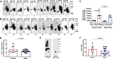measurement of high density lipoprotein hdl function in patients with