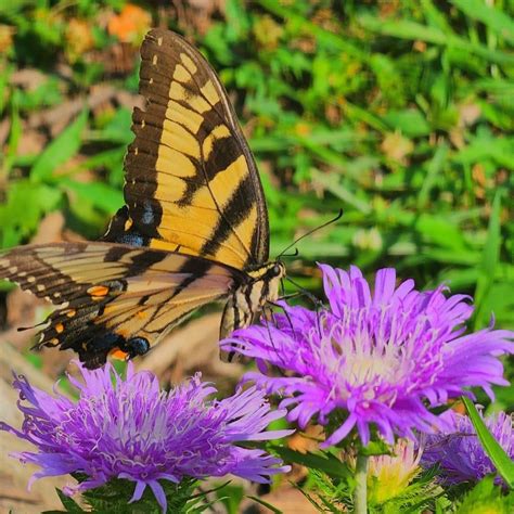 Harish Kallianpur On Linkedin Inspiration