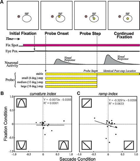 Testing The Spatial Mapping Hypothesis A Fixation Control Task The Download Scientific